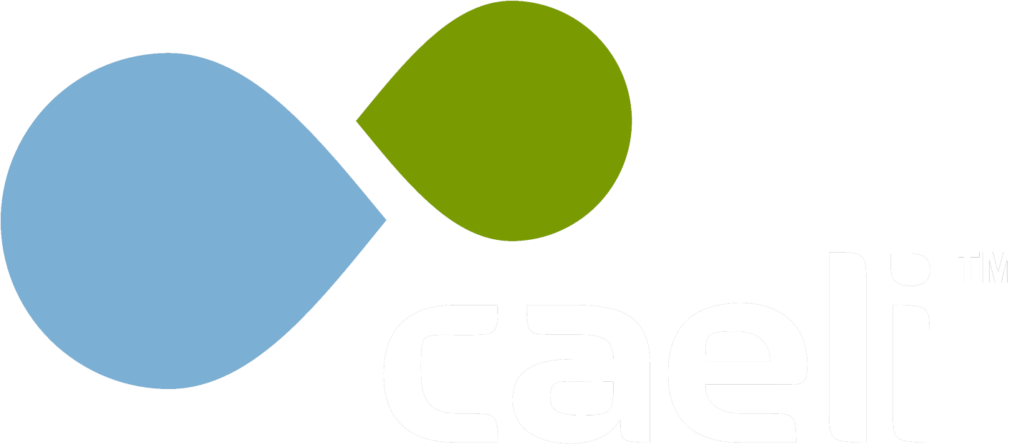 Functional Caeli™ fans | Caeli